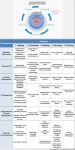 Business Relationship Management Frameworks – BRM Organizational ...